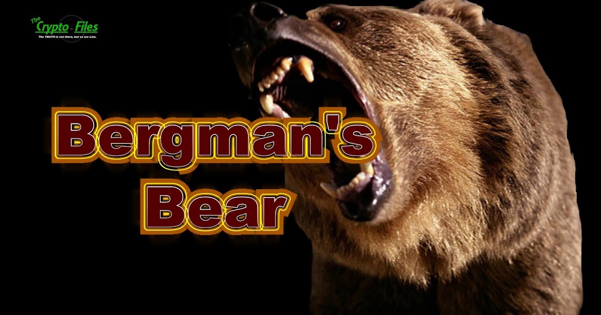 The Crypto Files - Bergman's Bear ~ The Crypto Crew