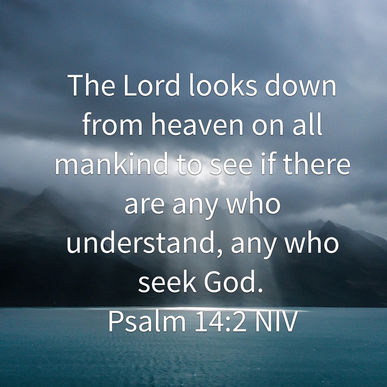 First Fruits of the Day: Psalm 14:2 - I seek you, God