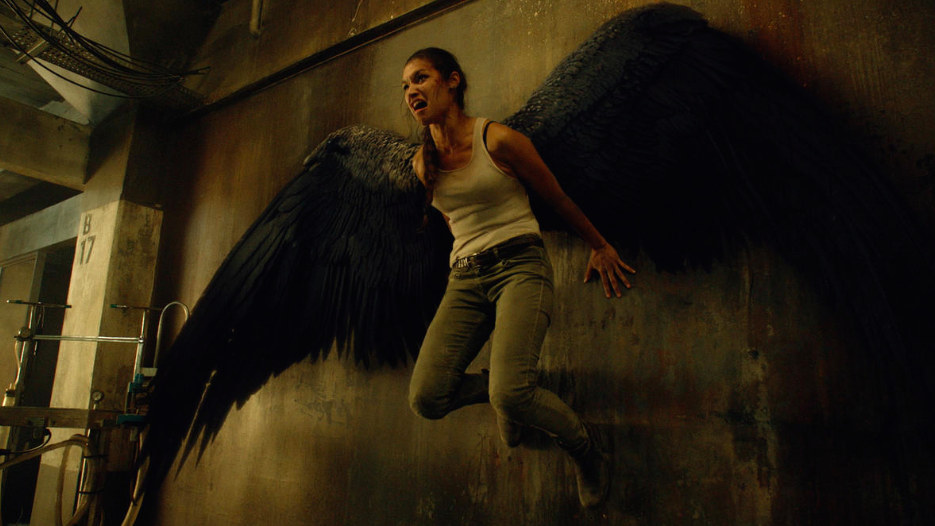 Noma Dominion Tv Show