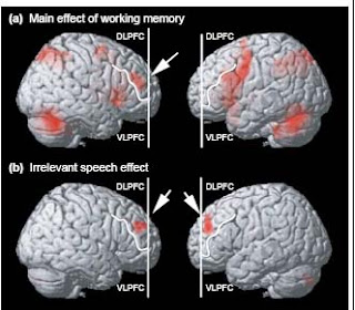 TheWinsomeWriter: Distracted-