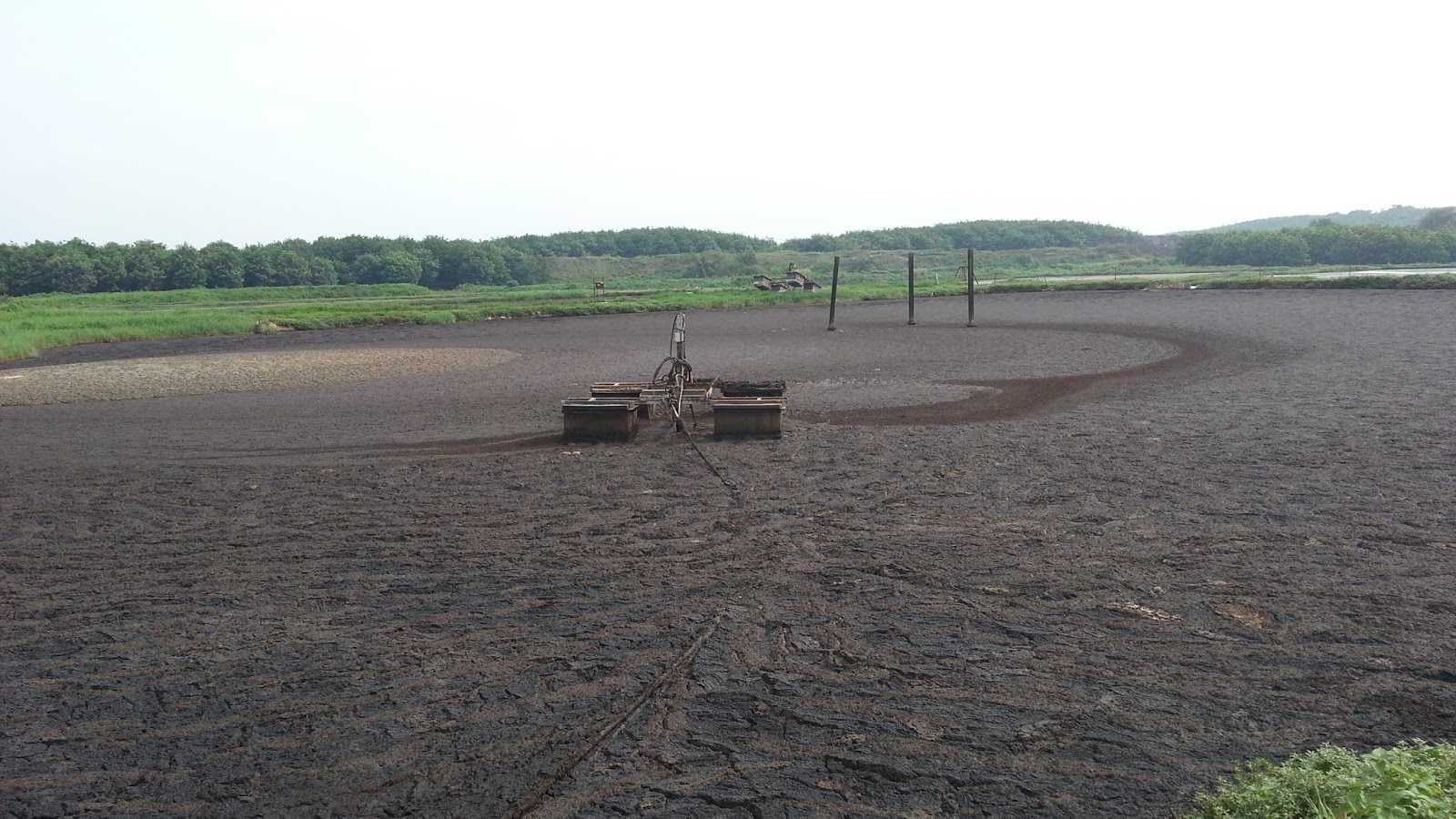 Sharing station: Palm Oil Mill Effluent treatment