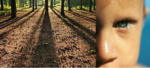 Two Wolves / On the Run Vision Board - Tristan Bancks