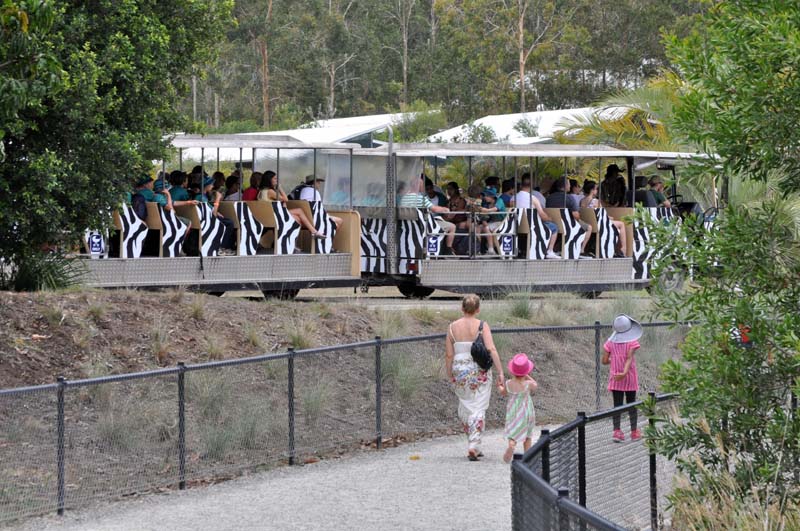 Travel With Giulio: Australia Zoo - plenty of wildlife, plenty of croc ...