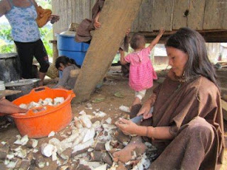 CONAIP PERU: I-er Congreso Interregional de comunidades nativas ...