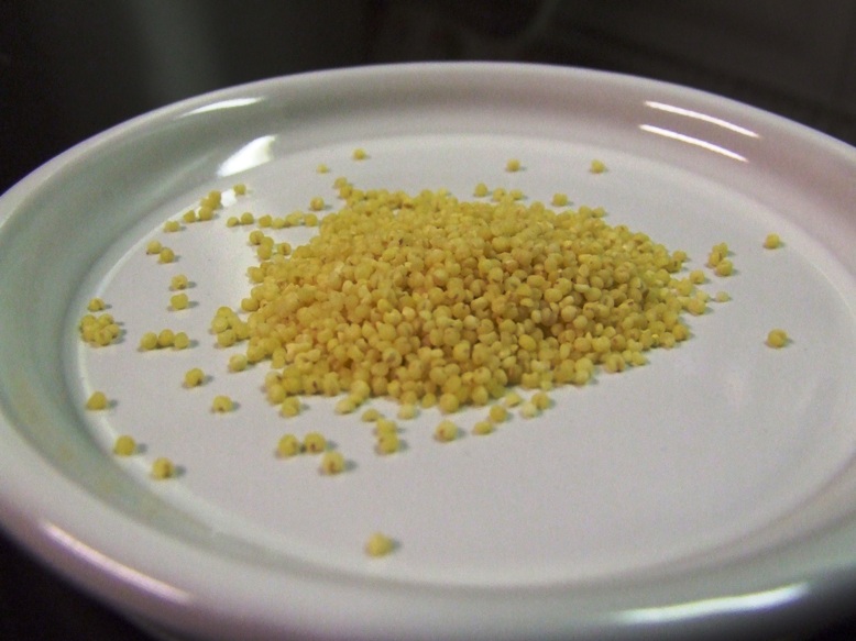 Pãezinhos de Millet | Receitas para máquina de fazer pão (MFP)