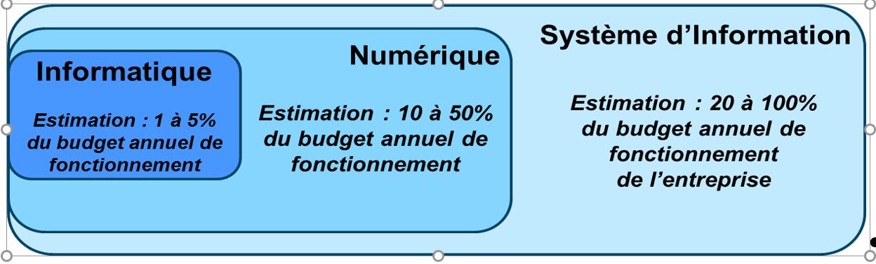 Gouvernance des Systèmes d'Information: Informatique, Numérique et ...
