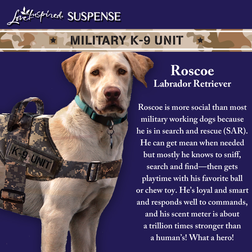 Love Inspired: A Story for Every Reader: K-9 Fun