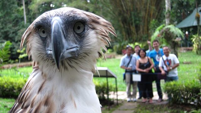 Davao City: Philippine Eagle Center | Glich's Life