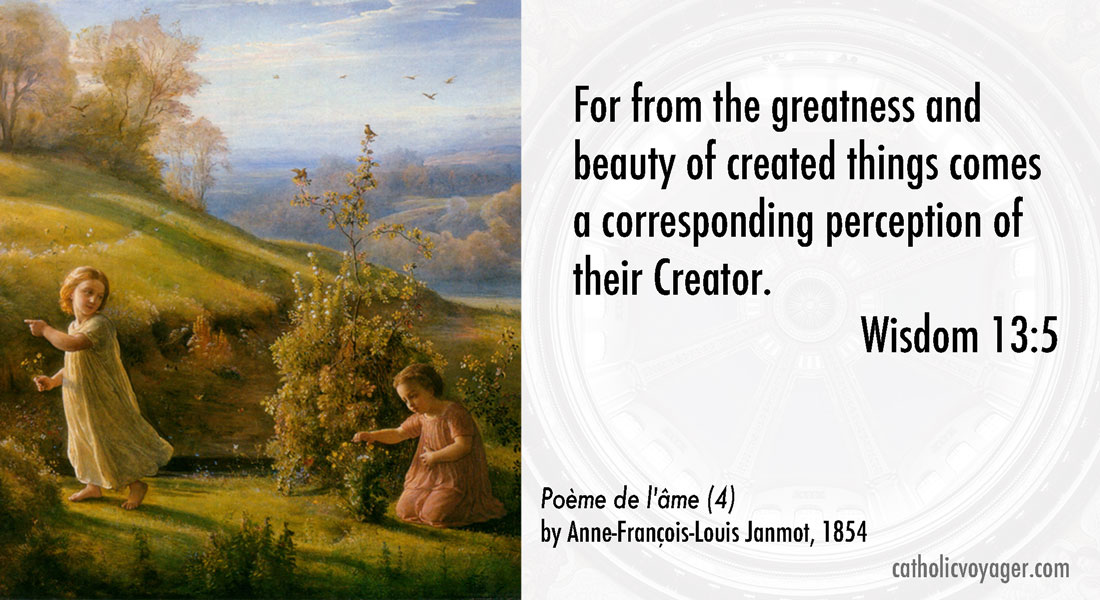 The Catholic Voyager: Wisdom 13:5 the beauty of created things...
