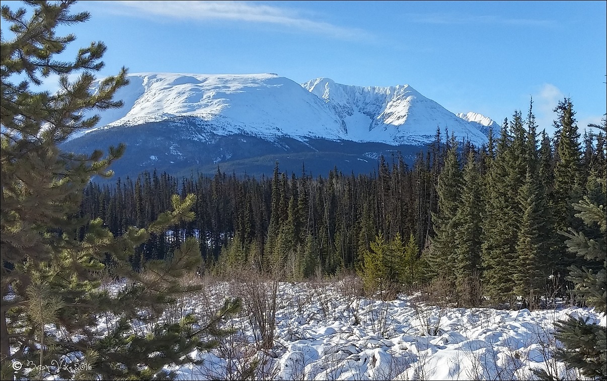Northern Interior British Columbia: 2016 Winter Nadina Mountain Houston ...