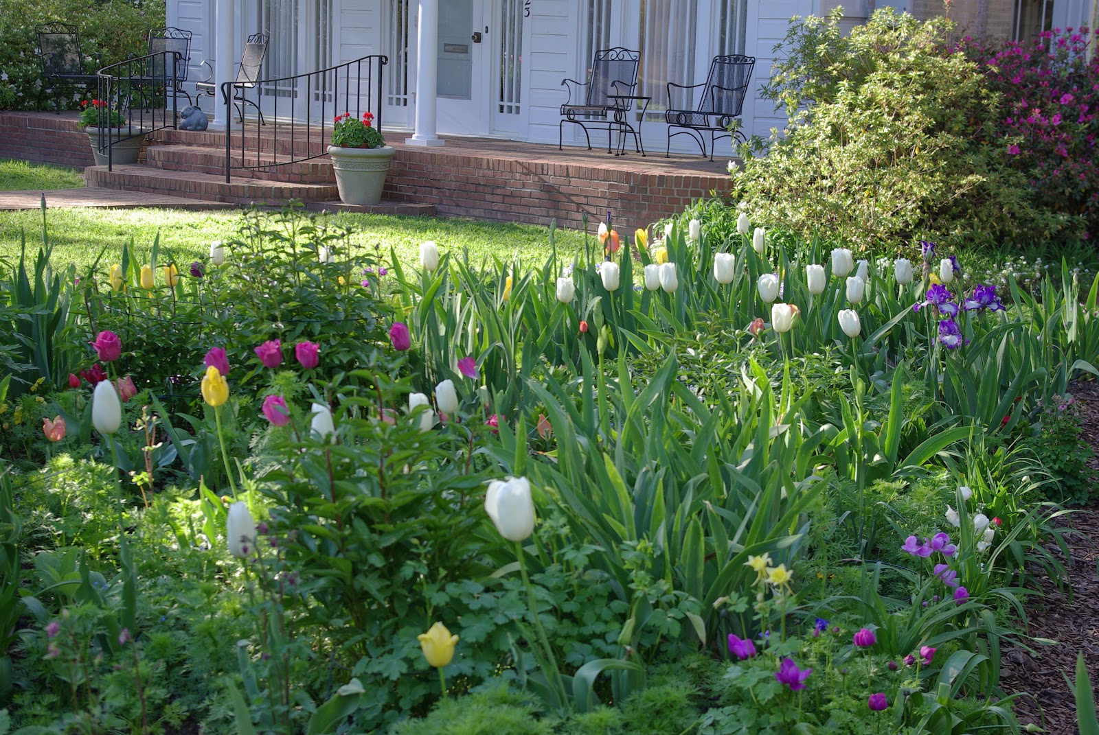 sweetbay: Blooming Friday ~ Sisters' Garden
