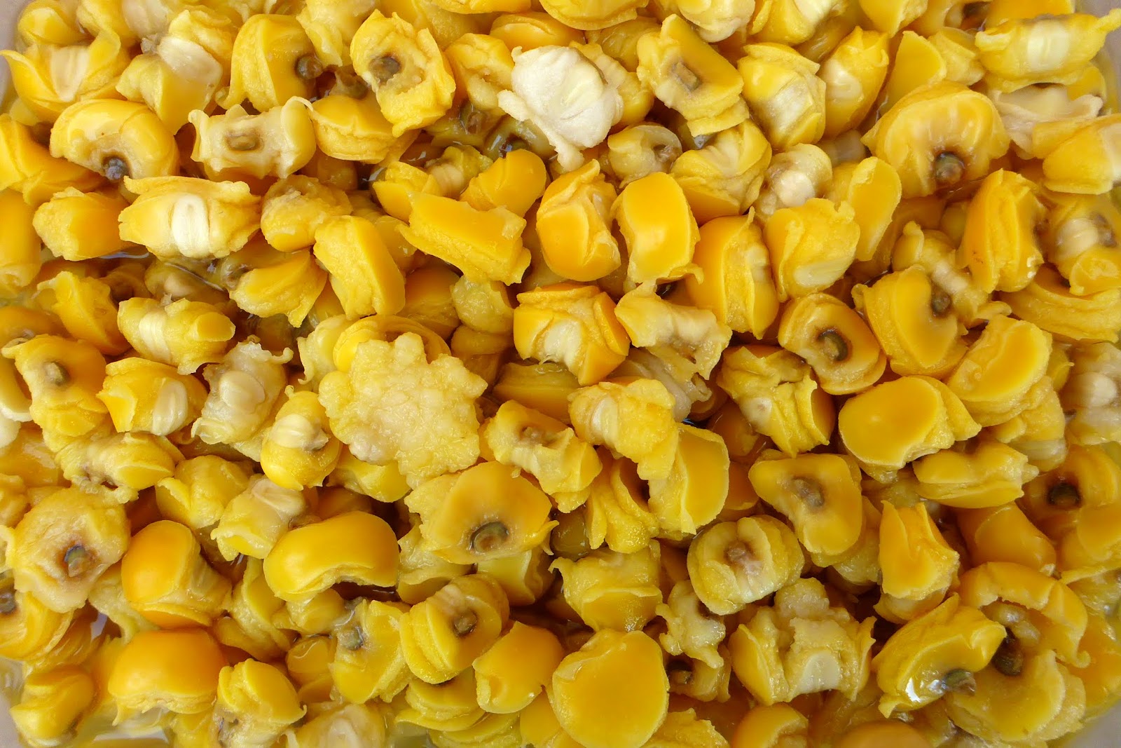 From Seed To Table: Nixtamalized Corn For Posole