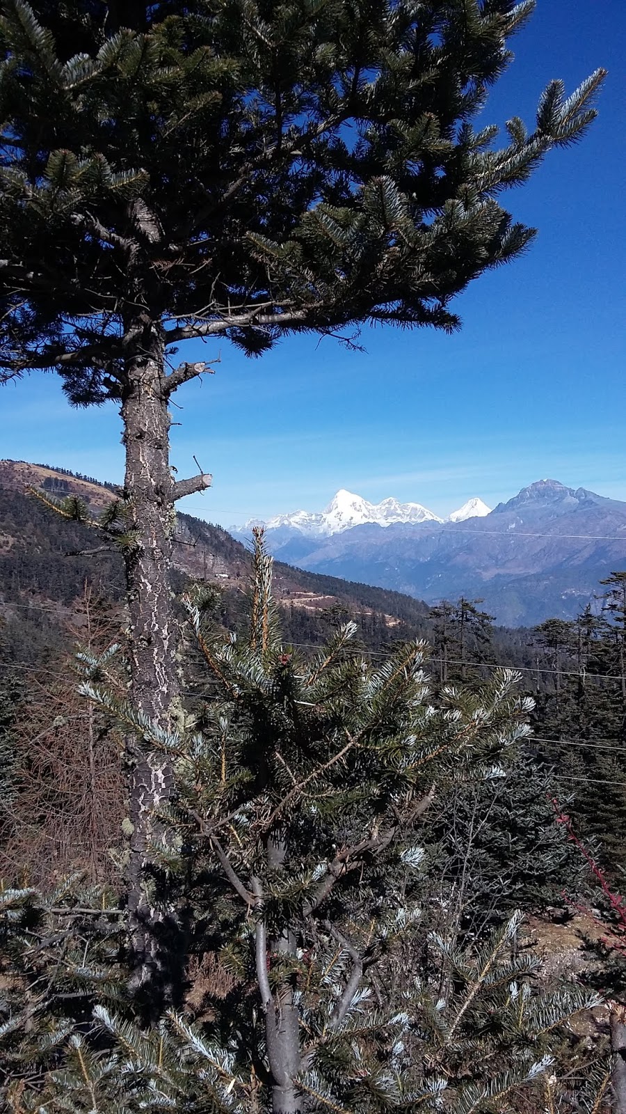 Projekt Gemeindewandern Schweiz: Chelela Pass