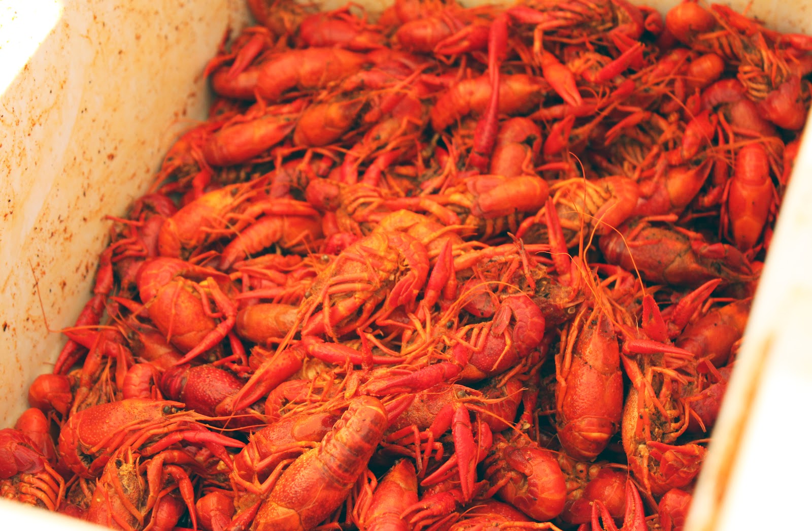 Summer Crawfish Boil - Danks and Honey