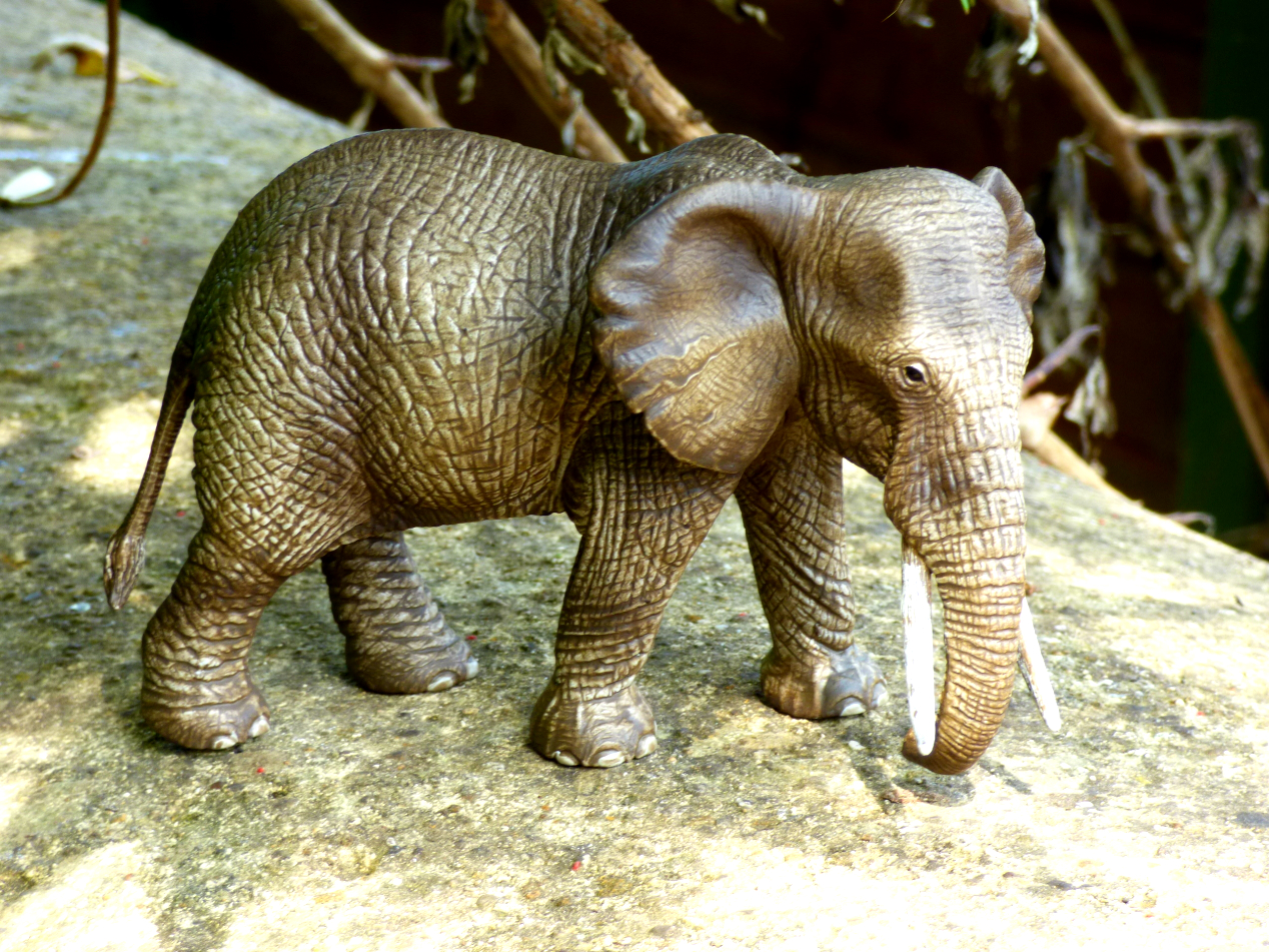 Chez Maximka: Discovering the Schleich world of play