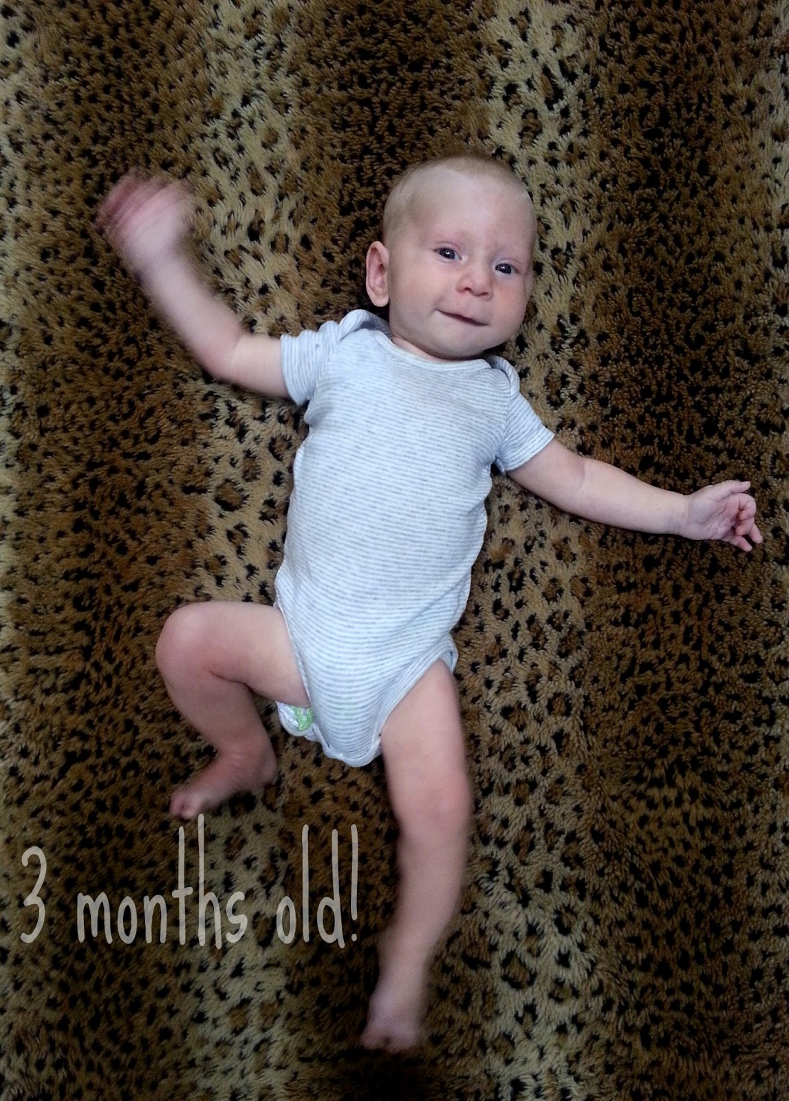 project motherhood: miller style: 3 months old!