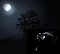 A chuisle mo croí: "El rayo de Luna" de Gustavo Adolfo Bécquer