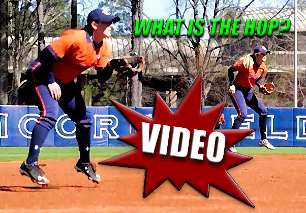 Wesley Wolverines Fastpitch Softball: AUBURN HOP