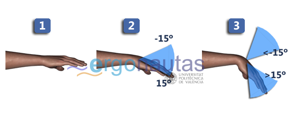Prevención De Riesgos Ergonómicos: Evaluación RULA Grupo "A"