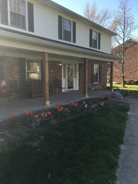 Casa Williams: Updating Our Front Porch with 6"x6" Rough Cedar Posts