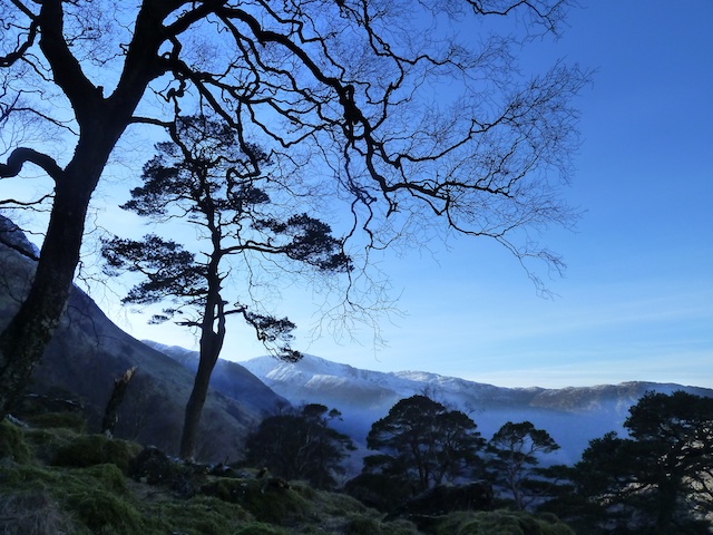 Dave MacLeod blog: Skeleton Boulder roof