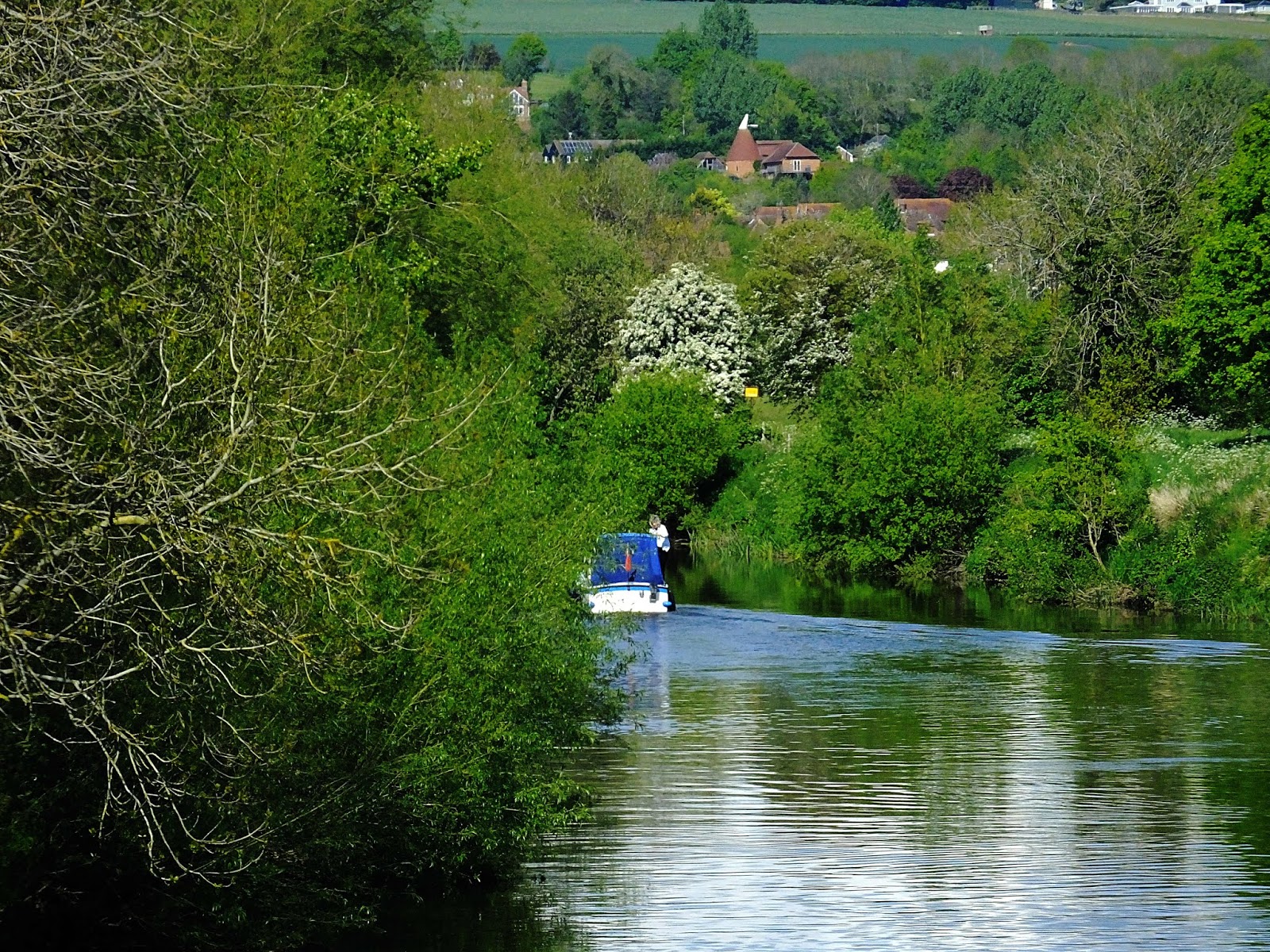 My Photos: Yalding & River Medway;Saturday 11th May 2019