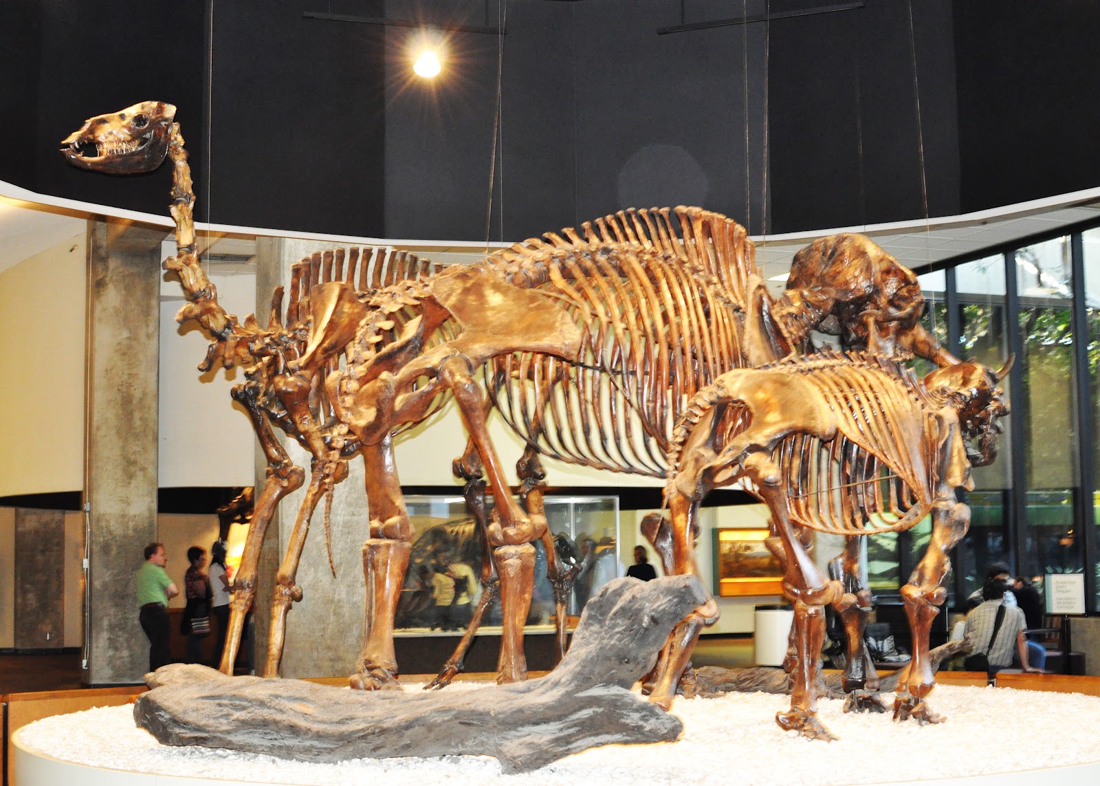 Quaintly Garcia: Page Museum at the La Brea Tar Pits