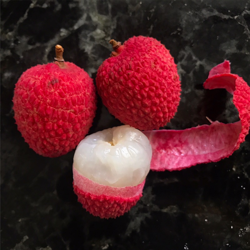 Manatee Rare Fruit Council: 2018
