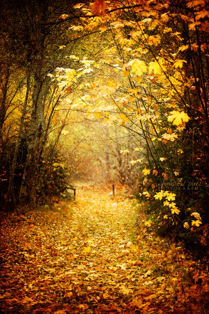 We Heart Yarn: path of gold