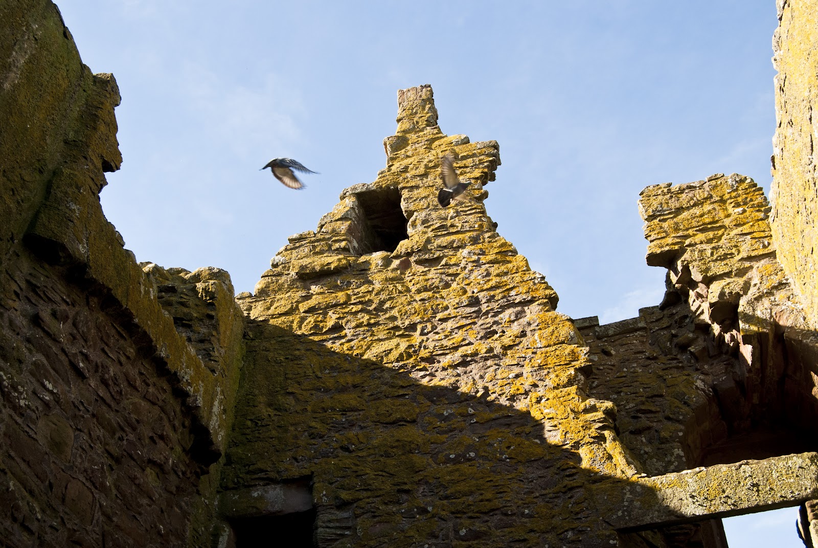 Tarryn Liddell Photography: Dunnottar Castle - A fortress of memories
