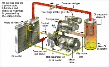 COMPRESSOR TYPE