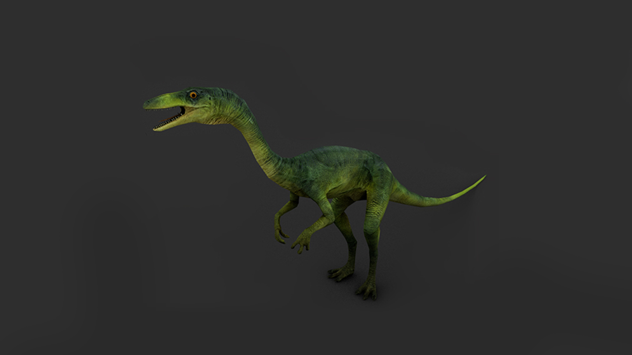 Compy 3D Model | Layth Jawad