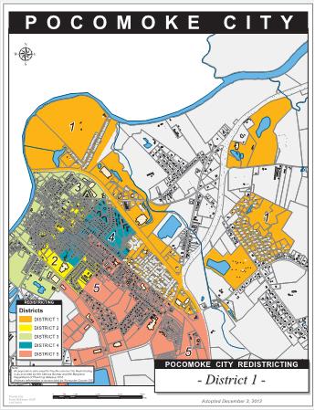 The Pocomoke Public Eye: 1/20/13 - 1/27/13