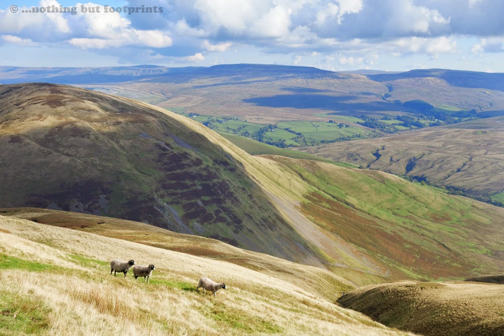The Howgill Fells