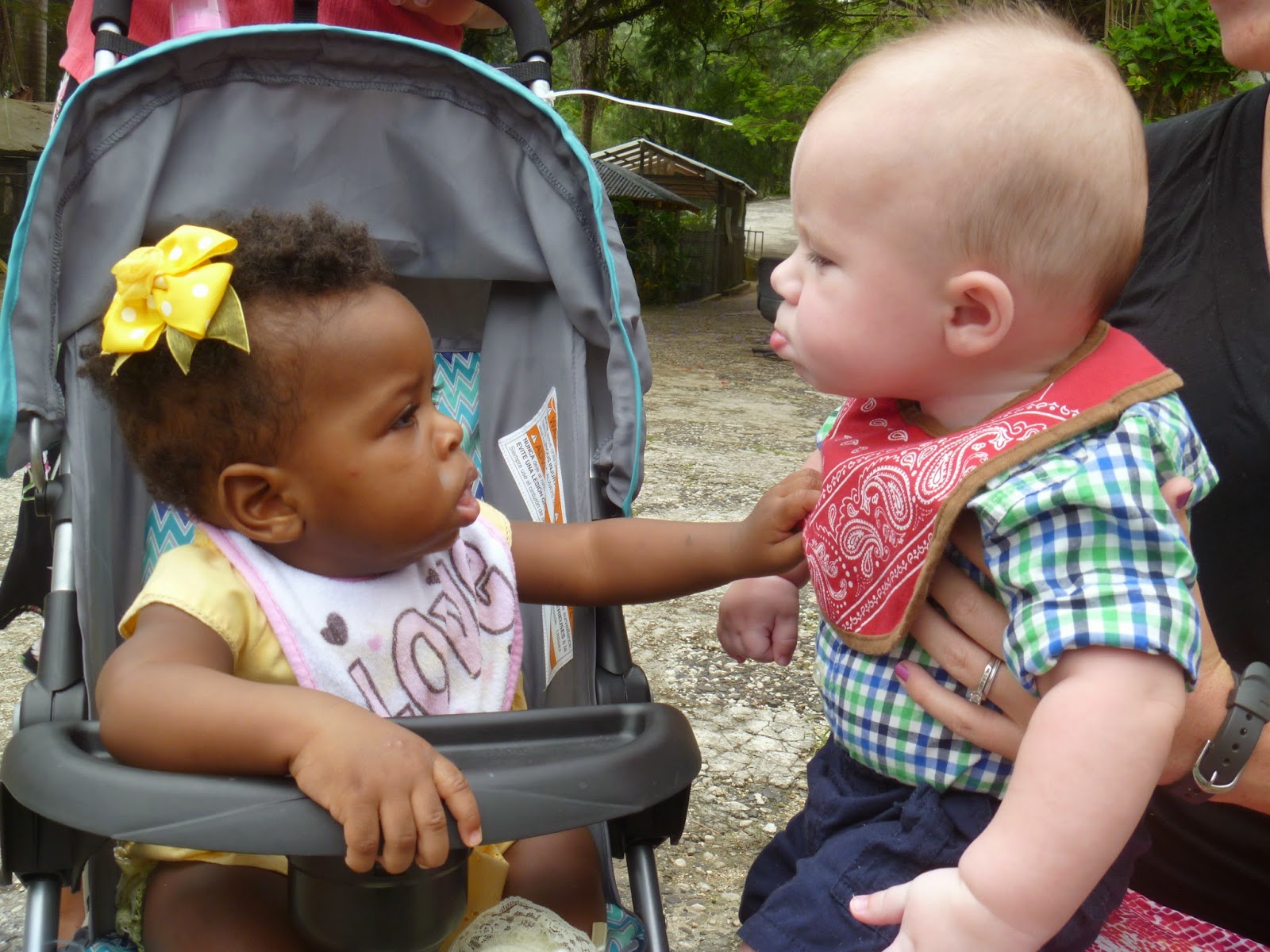 Neighbors to Visit (one week ago)