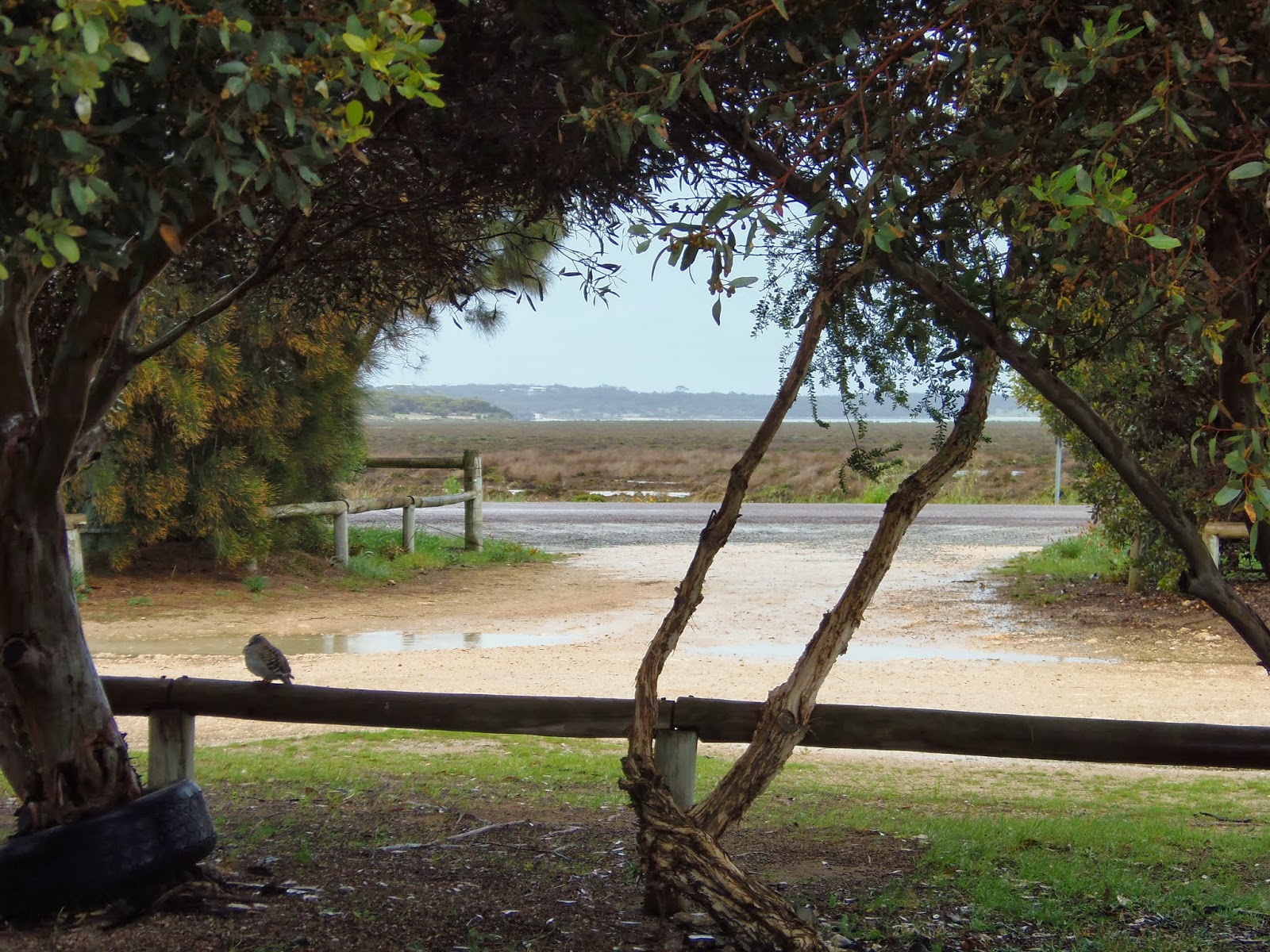 Solo Steve On The Road: Mt DUTTON BAY SA