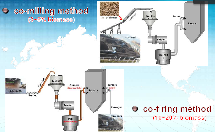 Biomass Industrial Innovative Projects: Optimization of Biomass-Coal ...