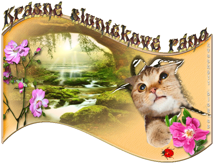 kvetka11: Krásné ráno