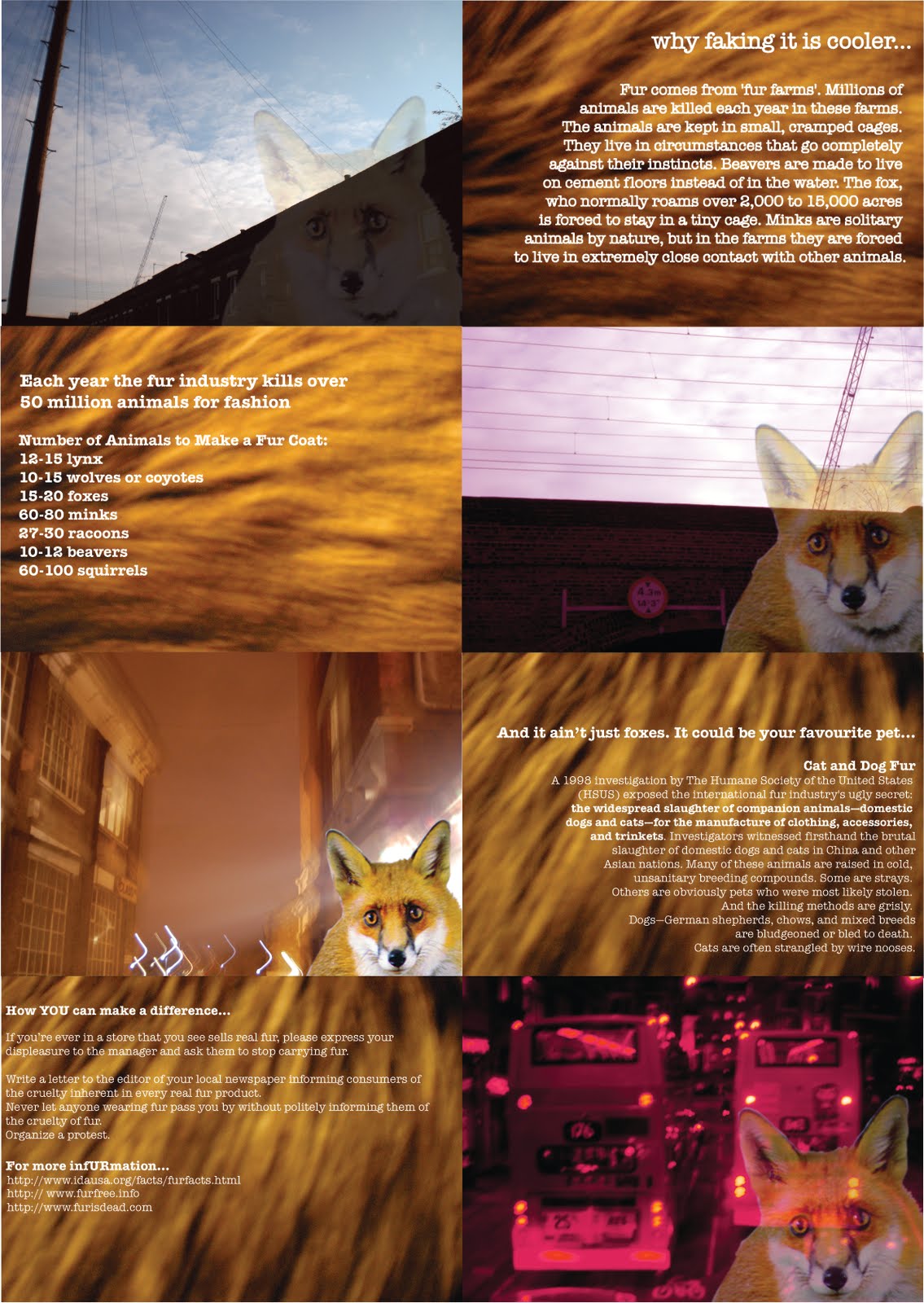 the PoRtfolio of the FandanGoe KiD: /// for fox sake,,,,anti-fur ...