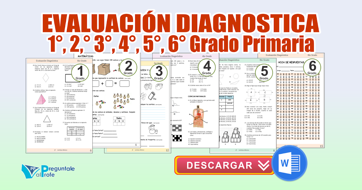 EVALUACIÓN DIAGNOSTICA 1°, 2,° 3°, 4°, 5°, 6° Grado Primaria ...