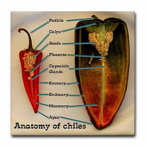 As Many Exceptions As Rules: Are Chilies Spicy, Hot, Or Piquant?