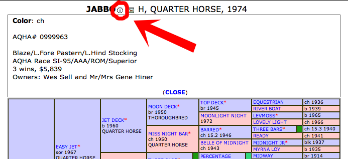 Equine Masterpiece: All Breed Pedigree