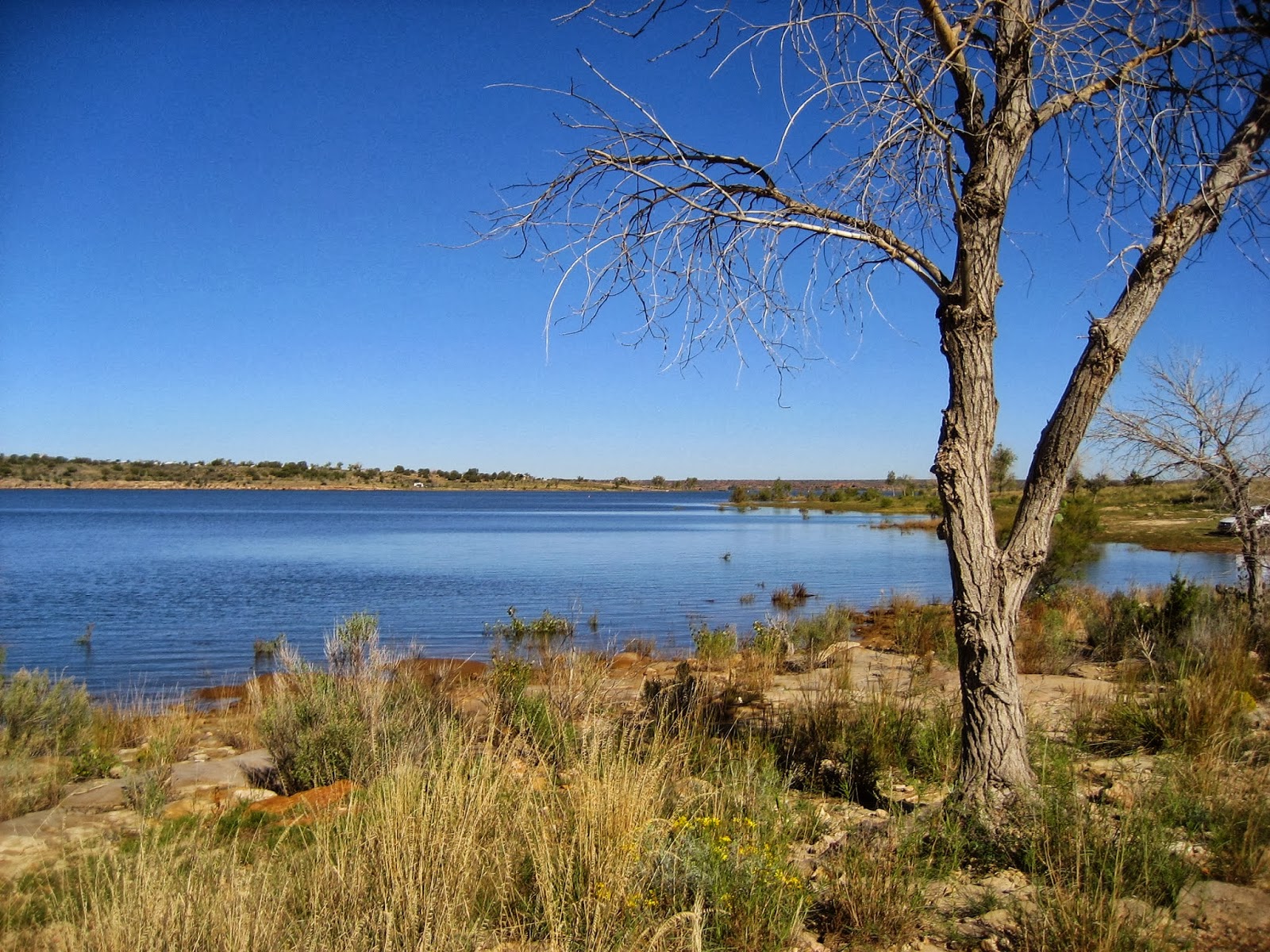 Living Rootless: Sumner Lake State Park, New Mexico: A Big Drink of Water