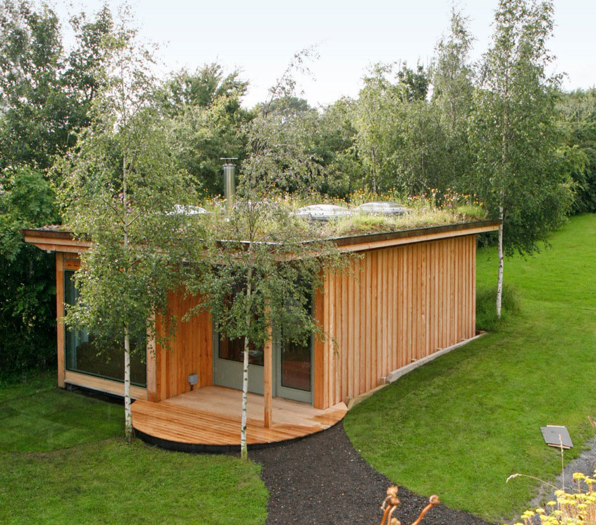 Shedworking: Shed Box of Delights: Green roof container garden office