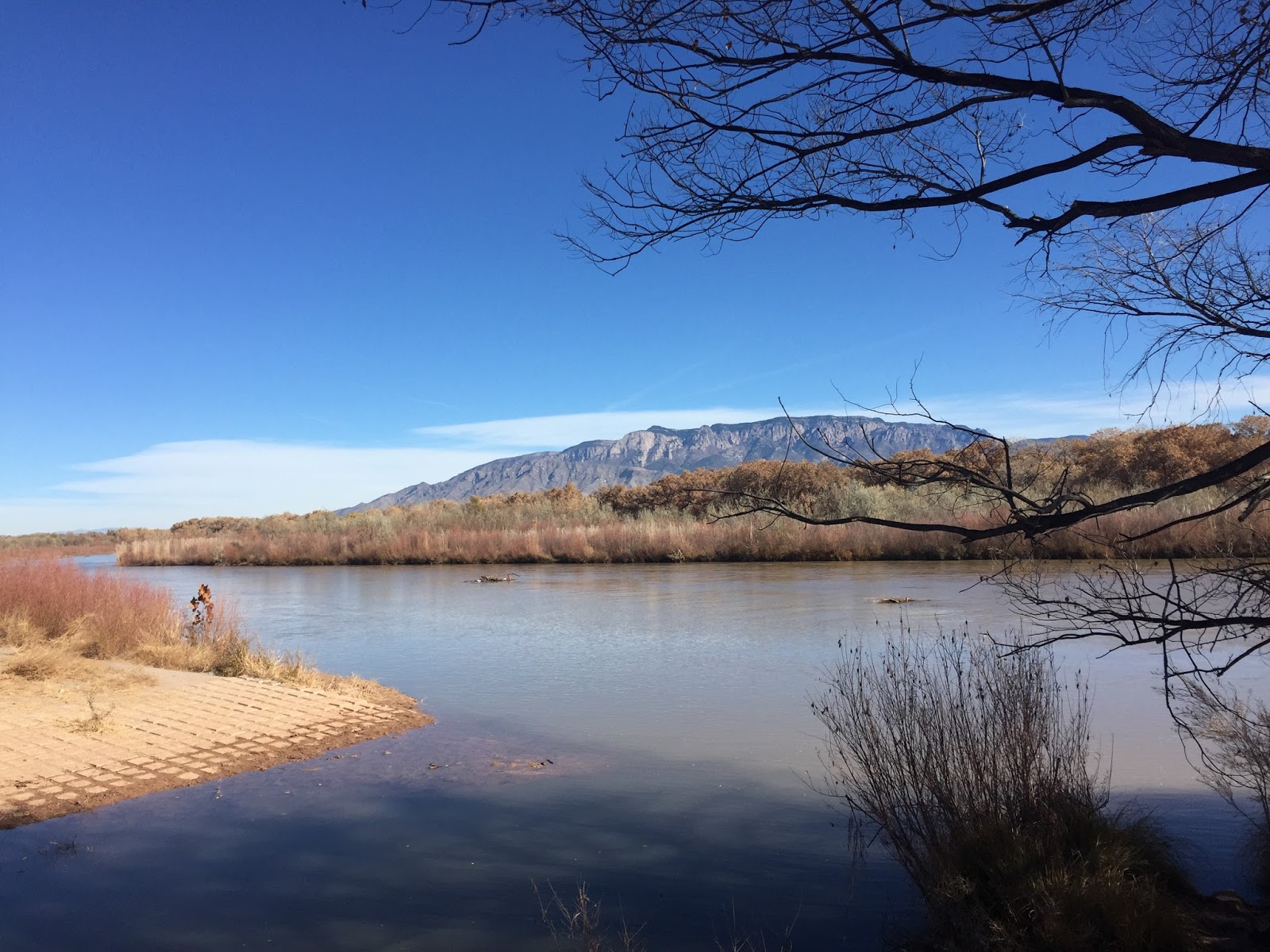 The Savage Globetrotters: 25 Things about Albuquerque, New Mexico