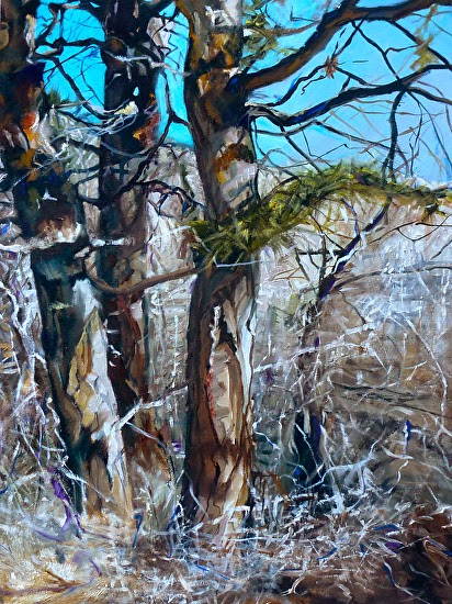 Daily Painters Abstract Gallery: Colorado Landscape Tree Art Painting ...