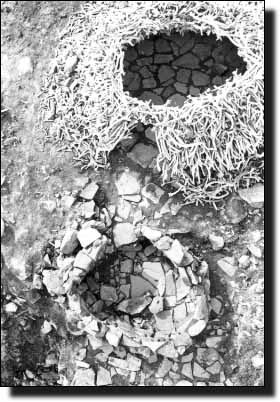 Pueblos en el hielo: COPPER INUIT (Kitlinermiut)