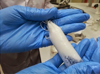 Pharmaceutical Technology Group A: OINTMENT