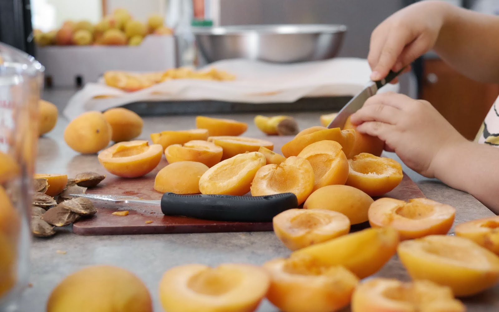 Apricot Vanilla Bean Jam - Backwoods Mama