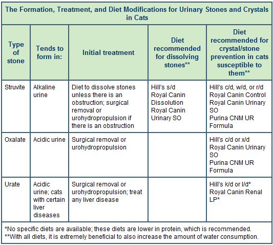Pet~Pourri: Bladder Crystals and Stones in Cats